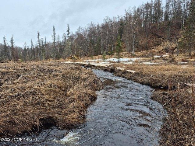 Asls # 91 040, Trapper Creek, AK 99683