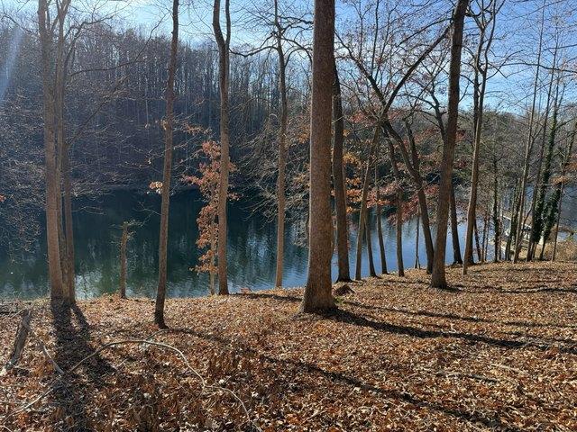 Aspen Way Lot 3, Moneta, VA 24121