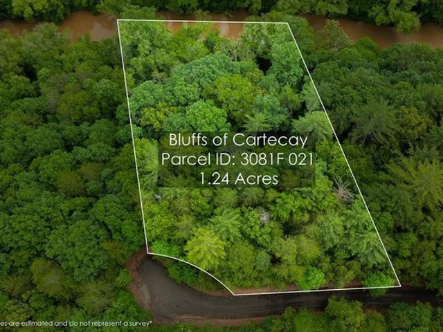 Aspen Ave Lot 21, Ellijay, GA 30540