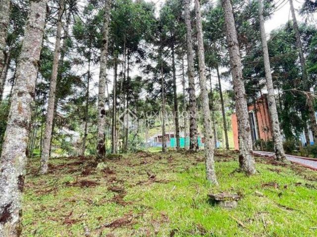 Aspen Mountain em Gramado