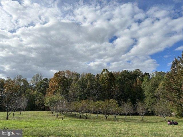 Assigned on Request, Partlow, VA 22534