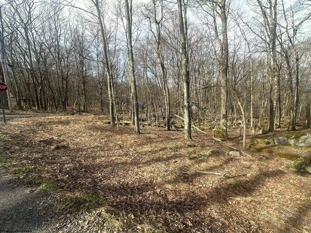 Aster Cir Lot 216, Terra Alta, WV 26764
