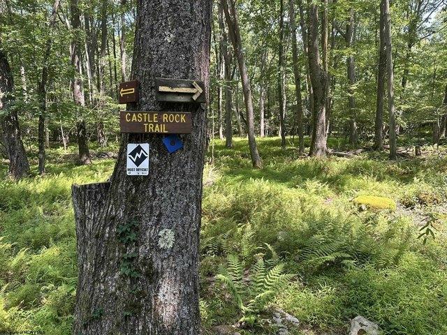 Aster Dr Lot 10, Terra Alta, WV 26764