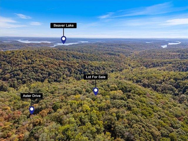 Aster Dr Lot 261, Rogers, AR 72756