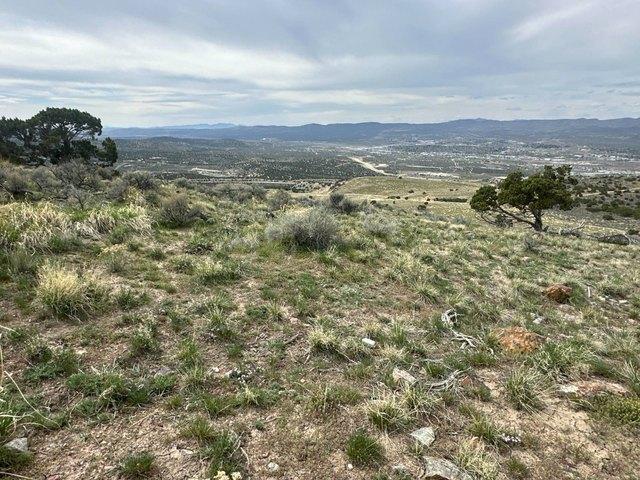 Apn 006 31e # 1, Spring Creek, NV 89815