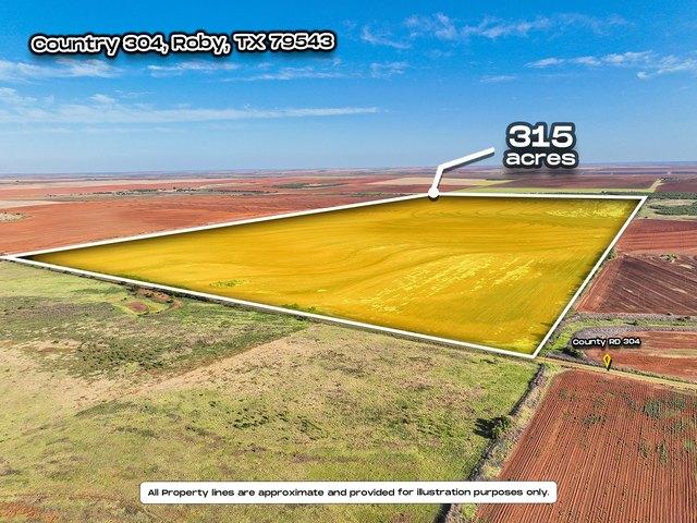 Apn 3166 Country Rd # 304, Roby, TX 79543