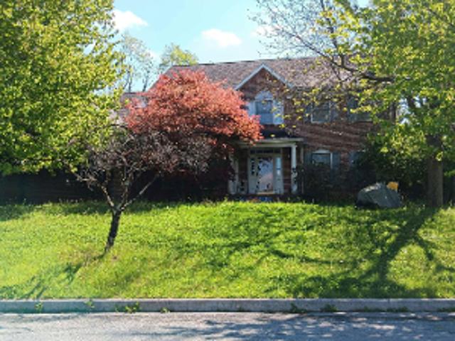 Apollo Dr