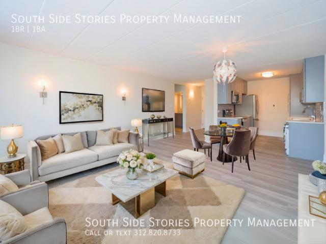 apartment 1 bedroom, Chicago IL 60616 DS87903666