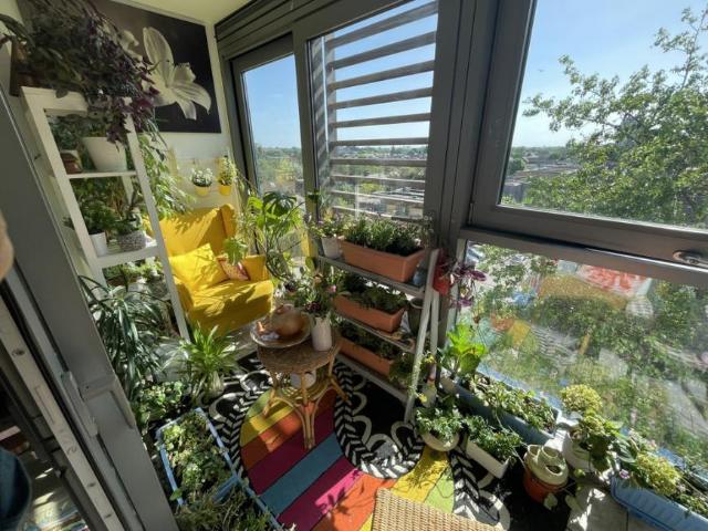 Apartment 1 Bedroom For Rent Brentford Brentford 1914 ES103031066