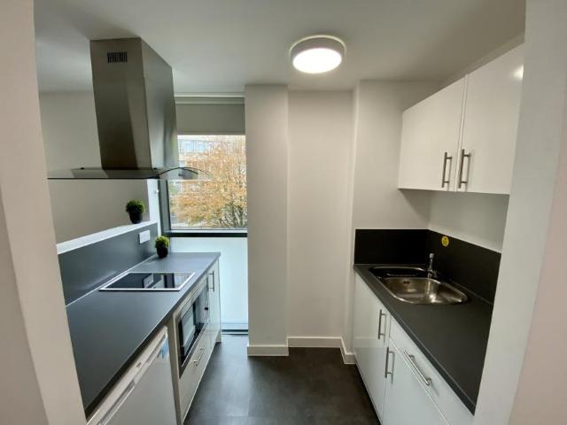 Apartment 1 Bedroom For Rent Five Ways West Midlands 1034 ELS99411767