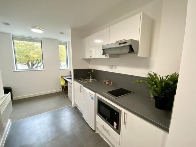 Apartment 1 Bedroom For Rent Five Ways West Midlands 982 ELS99367355