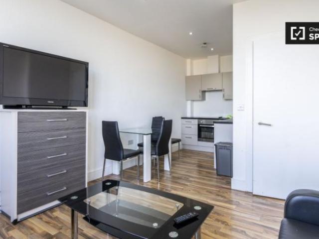 Apartment 1 Bedroom For Rent London London 2250 ELS97943950