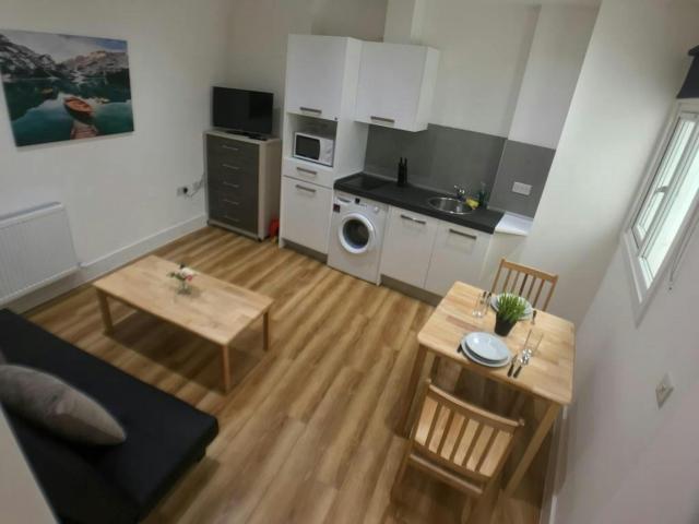 Apartment 1 Bedroom For Rent London London 3000 ELS80044462