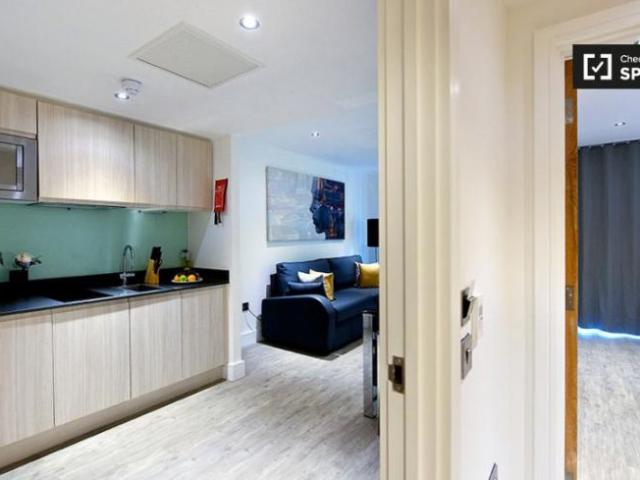 Apartment 1 Bedroom For Rent London London 4550 ES101671634