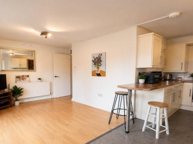 Apartment 1 Bedroom For Rent London London 4500 ES103094160