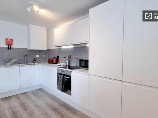 Apartment 1 Bedroom For Rent London London 5250 ELS101822410
