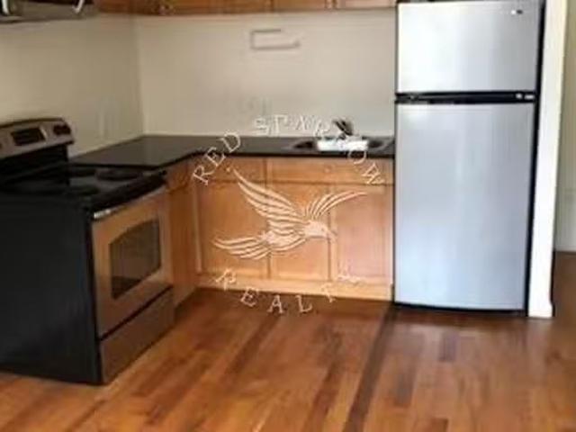 Apartment 1 bedrooms in Brooklyn Heights