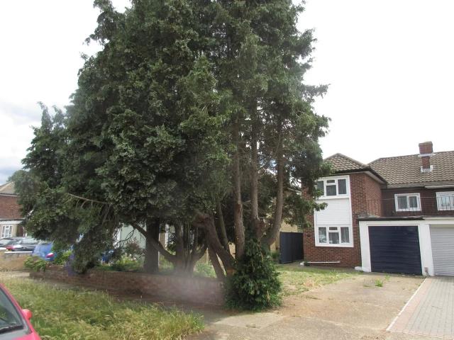 House at Beresford Gardens, Greater London