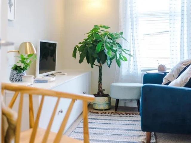 Apartment at Ermine Road, Chester
