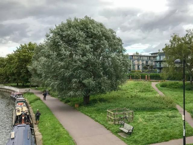 Apartment at Kingsley Walk, Cambridge