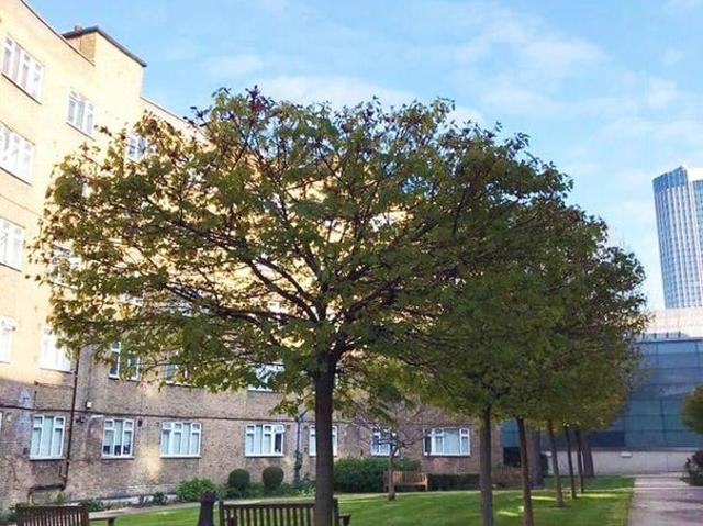 Apartment at Hatfields, Greater London