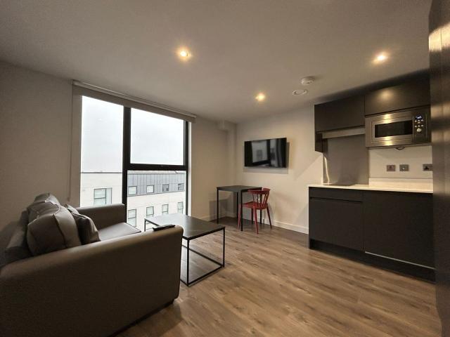 Apartment at Low Hill, Liverpool