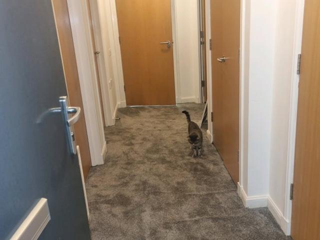 Apartment at Moreland View, City of Edinburgh