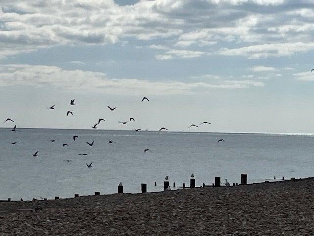 Apartment at Marine Parade, Worthing