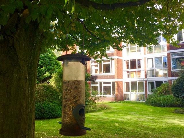 Apartment at Marlborough Drive, Frenchay