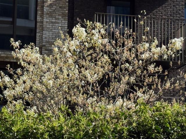 Apartment at Merino Gardens, Greater London