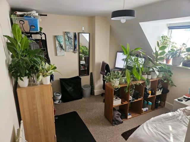 Apartment at Picton Street, Bristol