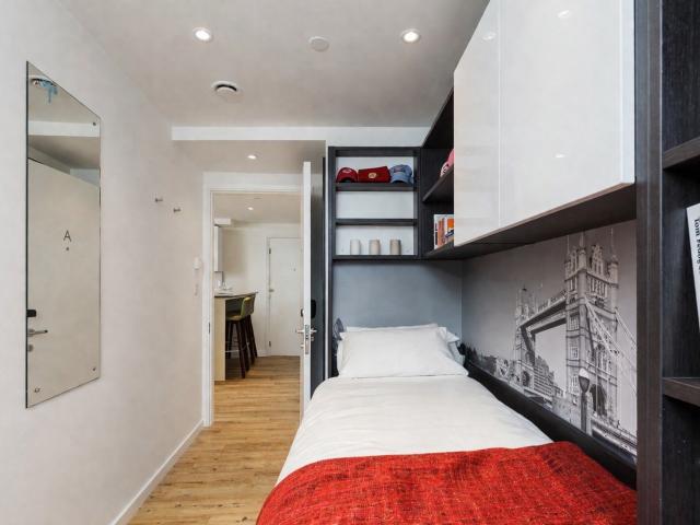 Room at Westminster Bridge Road, Greater London