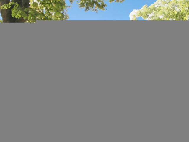 Apartment at Thorn Park, Plymouth