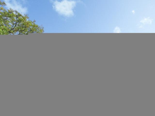 Apartment at Trewince Lane, Porth Navas
