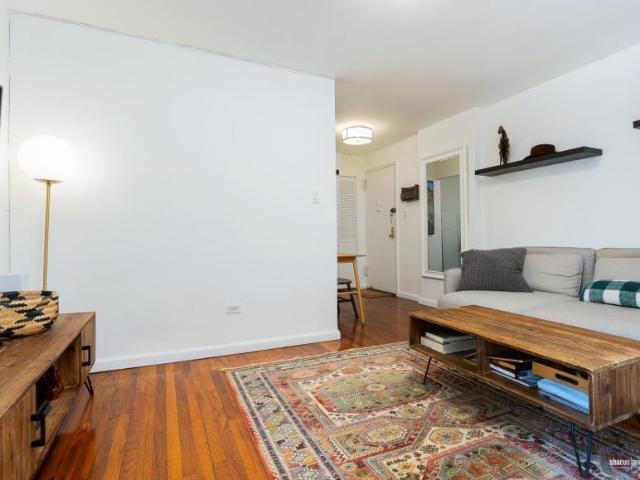 apartment Brooklyn NY DS101502081