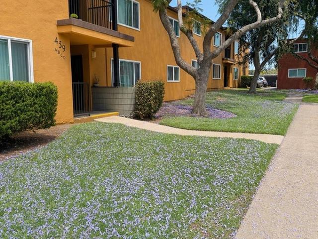 Apartment for rent