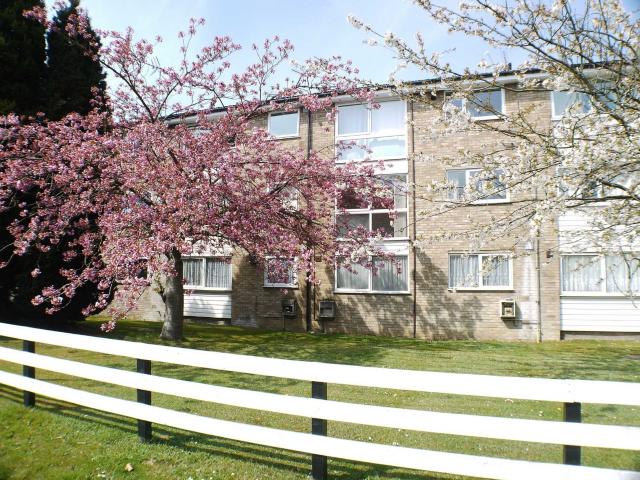 apartment for rent in Aldermans Close, Welham Green