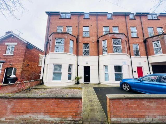 apartment for rent in Apt 1, 73 Ulsterville Avenue, Belfast, BT9 7AT