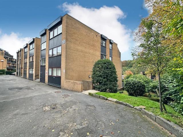 apartment for rent in Graham Road, Sheffield