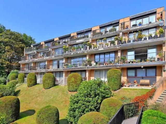 apartment for rent in Graham Road, S10 3HQ