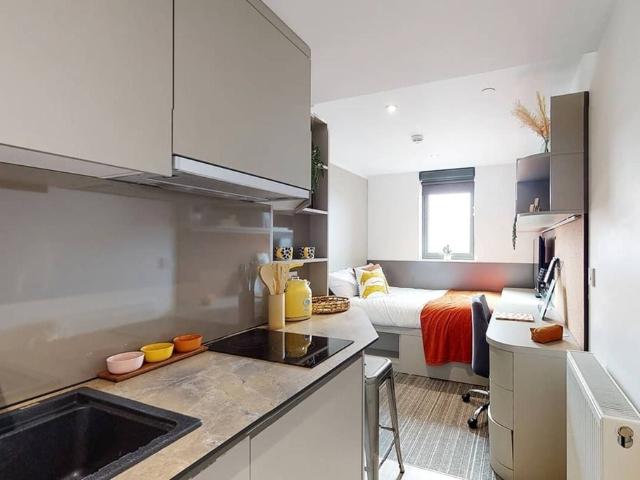 Studio to rent on Holbrook House, Victoria Road, London