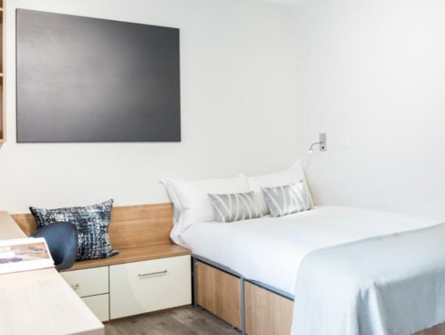 Room to rent on Holloway Road, London