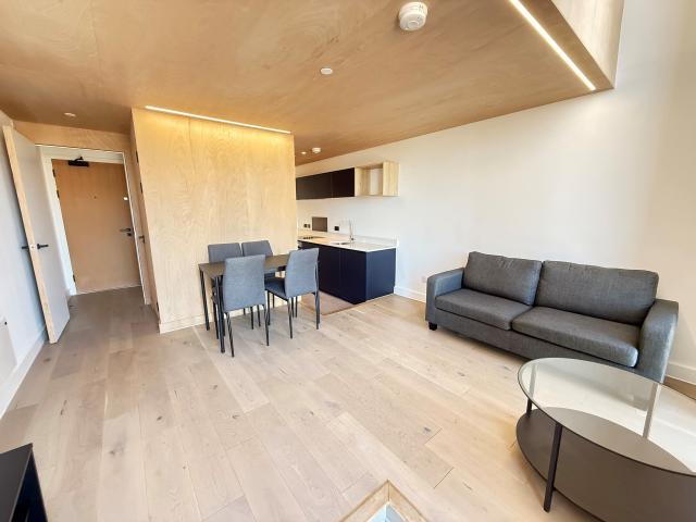 Apartment for rent Sky Gardens, Castlefield