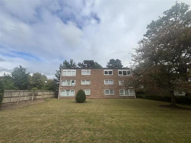 apartment in South Grove B23
