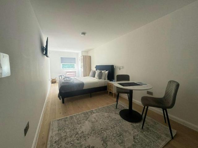 Apartment London London 101587590