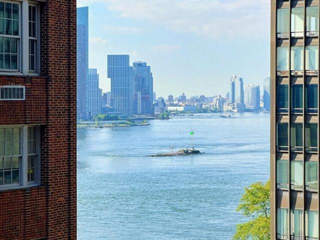 apartment Midtown East NY DLS96882164