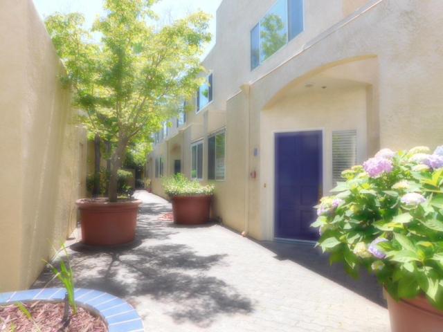 Apartment: MLS #ML82046