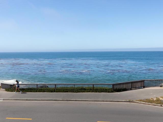 Apartment: MLS #ML82055
