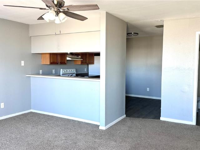 Apartment: MLS #477819