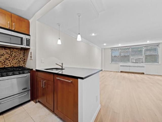 apartment New York NY DLS89373710